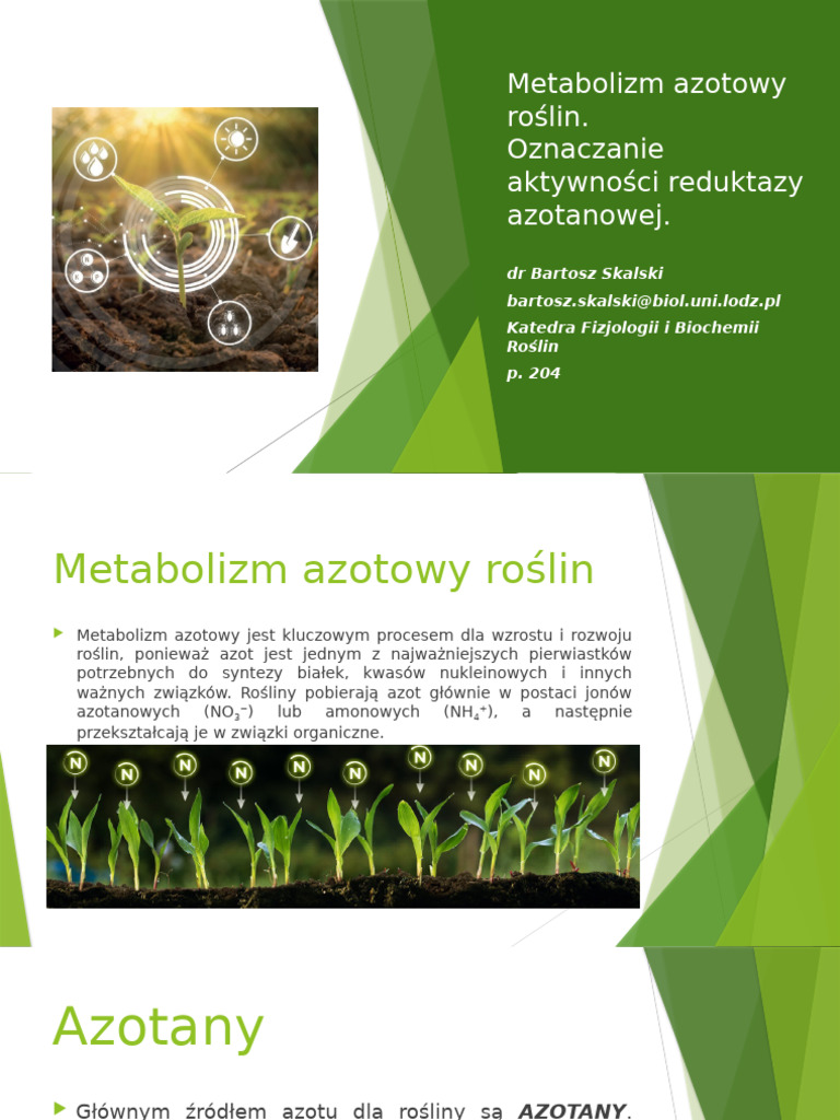 Metabolizm Azotowy | PDF
