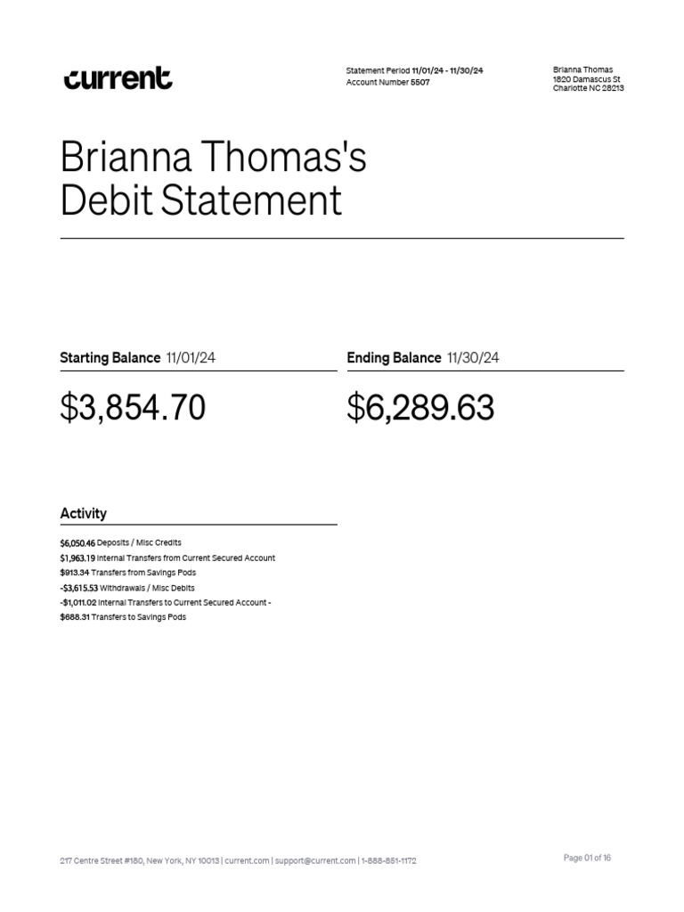 02 Debit Statement November 2024 | PDF | Debit Card | Payments