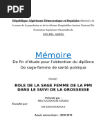 Consultation Prenatale (CPN) | PDF | Grossesse | Accouchement