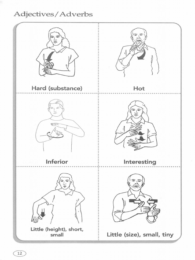 1,000 Signs of Life 16 | PDF