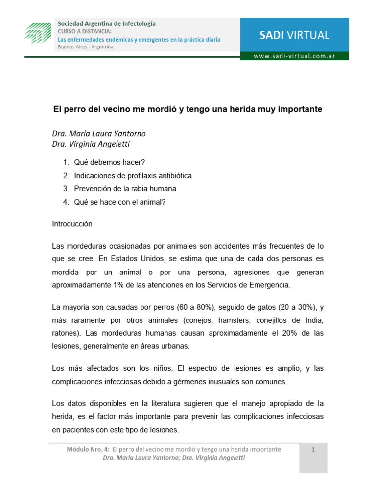 Manejo de mordeduras de perro y rabia | PDF | Rabia | Herida