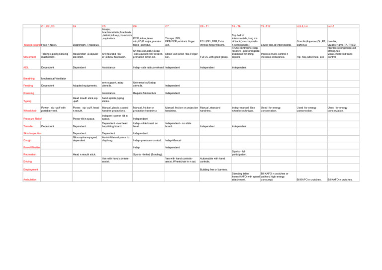 Spinal Cord Level Fixed | PDF | Anatomical Terms Of Motion | Wheelchair