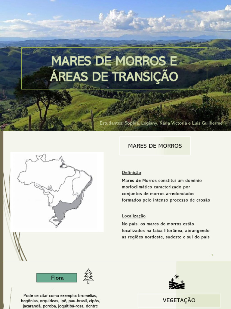 Mares de Morros e Áreas de Transição | PDF | Floresta Amazônica ...