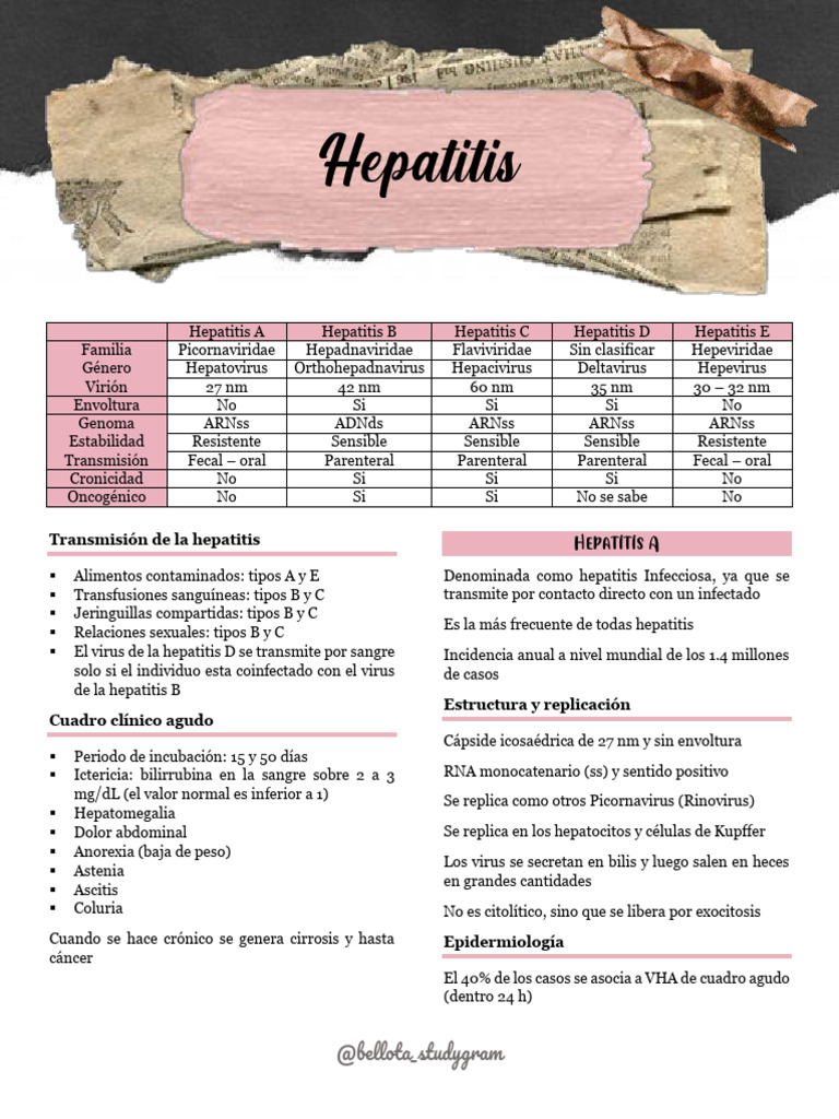 Transmisión y tipos de hepatitis vírica | PDF | Hepatitis | Hepatitis B