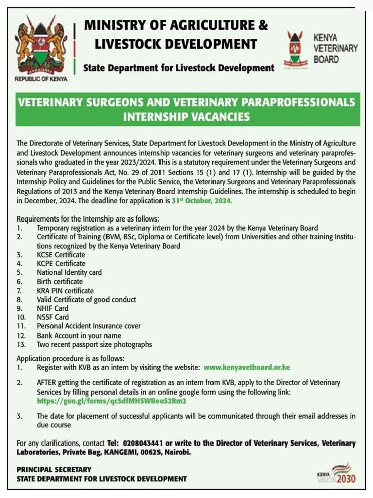 Internship Advertisement | PDF