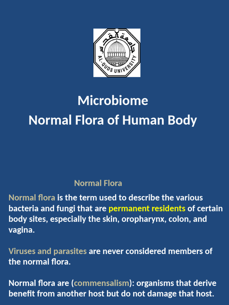4_ Normal Flora | PDF | Streptococcus | Lactobacillus