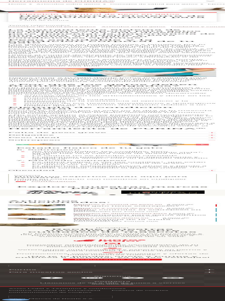 Herramienta Sistema de Condición Corporal para ga… 2 | PDF | Gatos ...