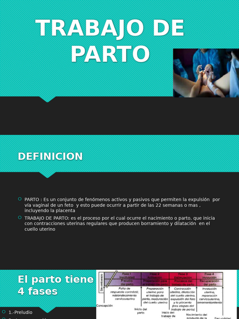 Fases y Etapas del Trabajo de Parto | PDF | Parto | Embarazo humano