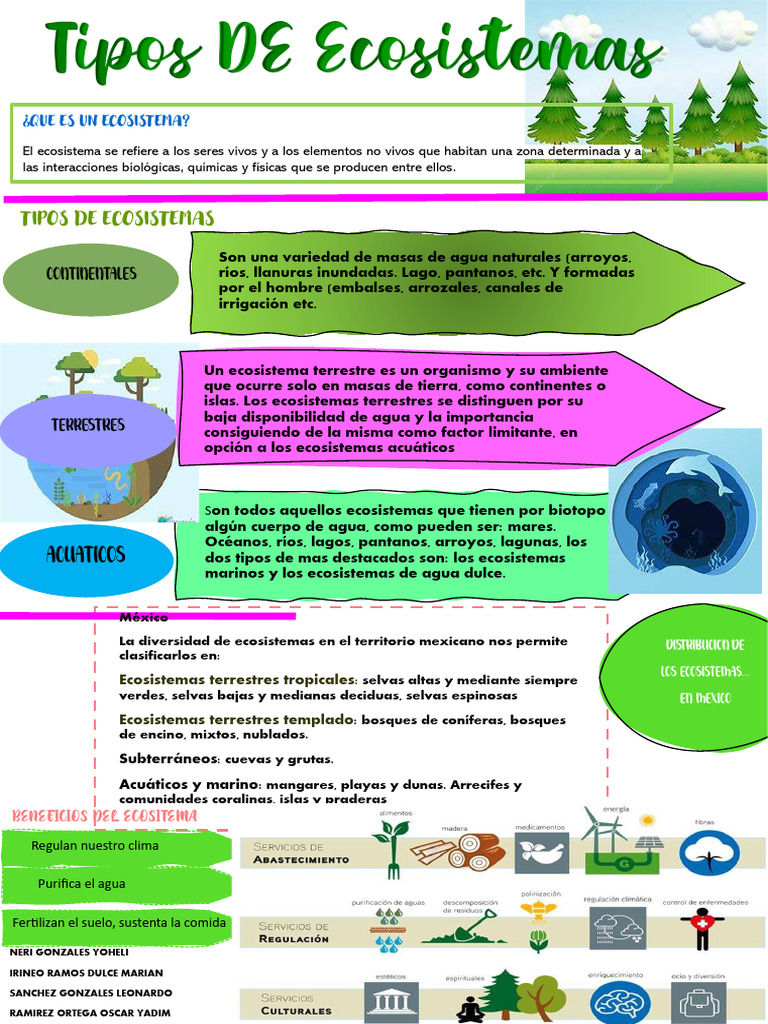 Infografia Ecosistemas | PDF