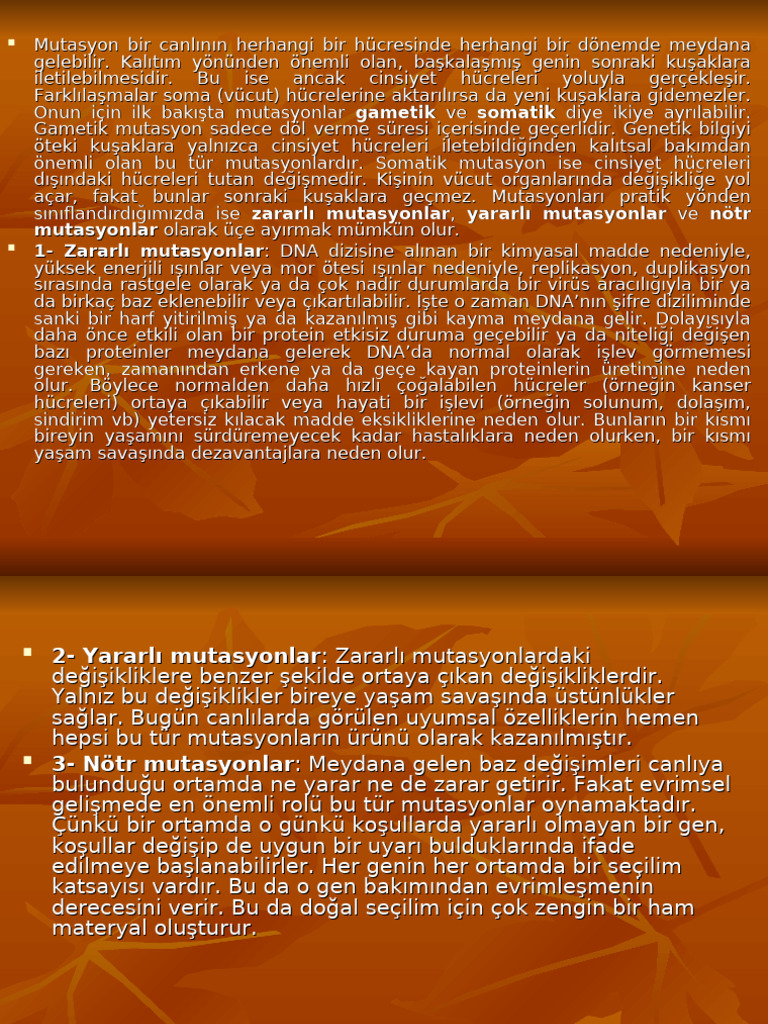 Evrimin Genetik Temelleri 11 | PDF