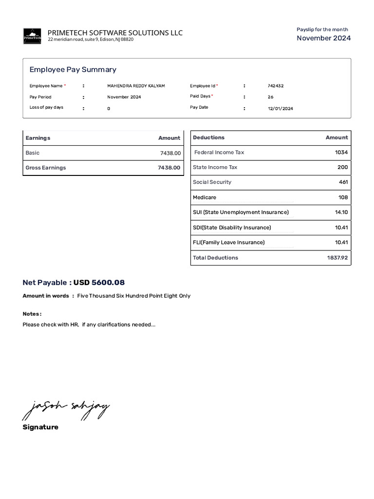 November 2024 Payslip Summary | PDF