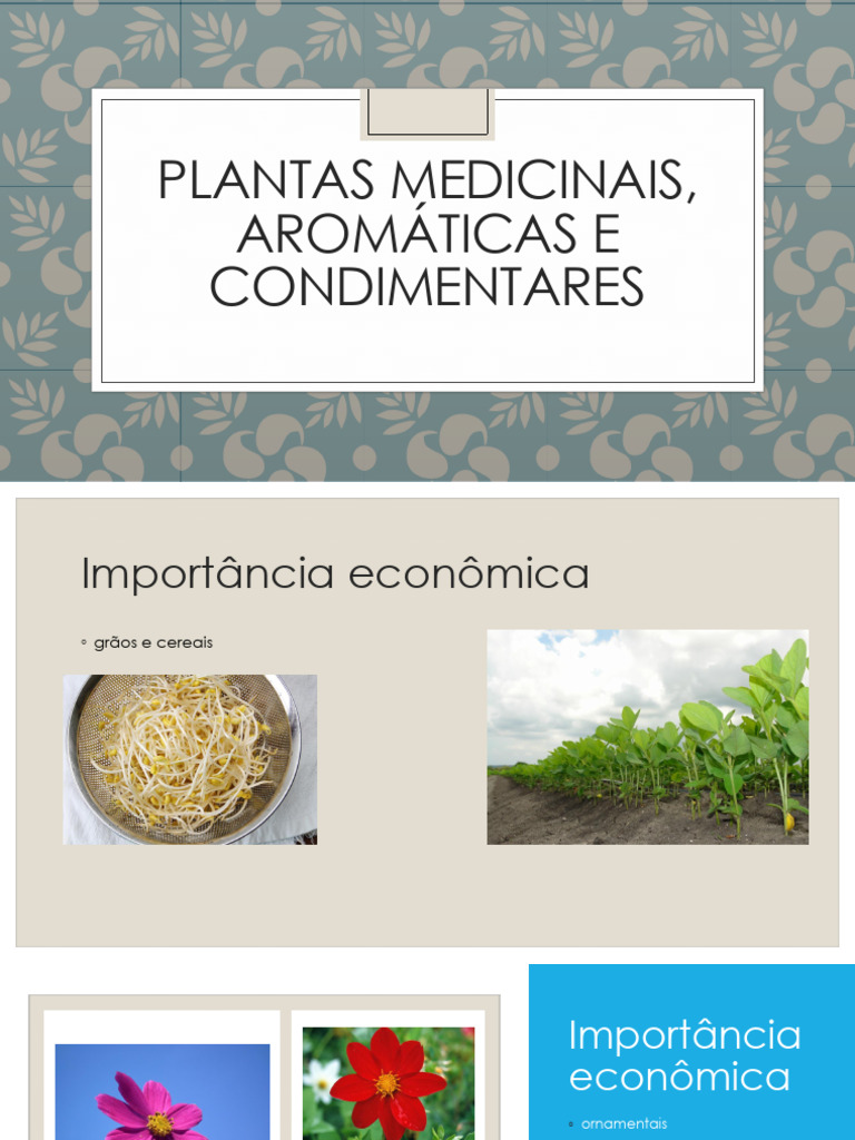 1 Importância Economica PMAC 1 | PDF