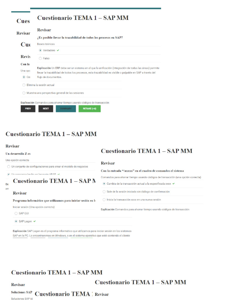 Primer Examen Preguntas SAP | PDF