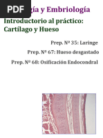 Funcion de Las Uniones GAP en La Union Interceluar | PDF | Biología ...