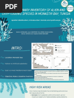 Palia Complete Fish Checklist | PDF | Fish