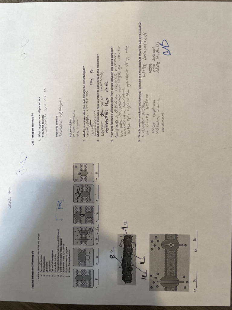 Img 9505 | PDF