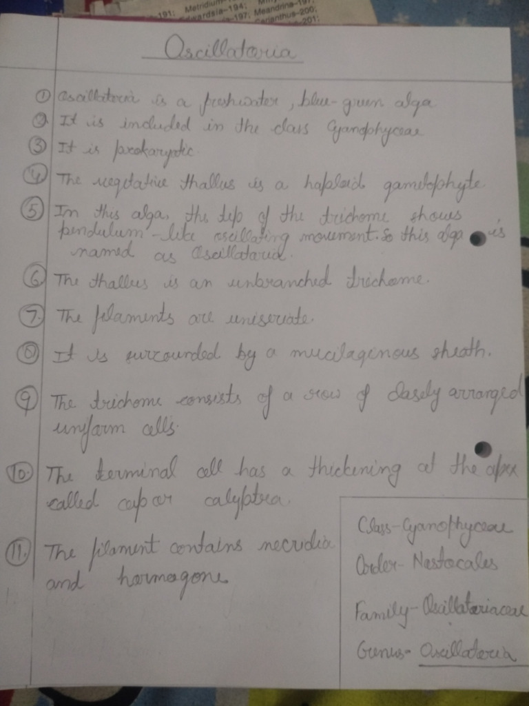 Botany Practicals | PDF