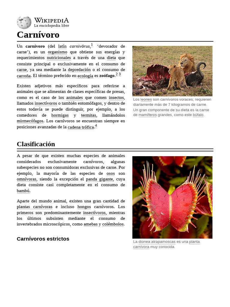 Características de los Carnívoros | PDF | Comportamientos alimenticios ...