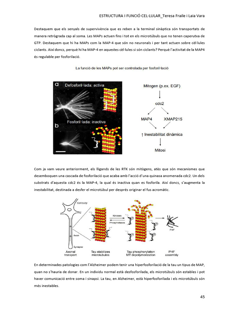 17.2 Continuació Tema 17 EFC Per Imprimir | PDF