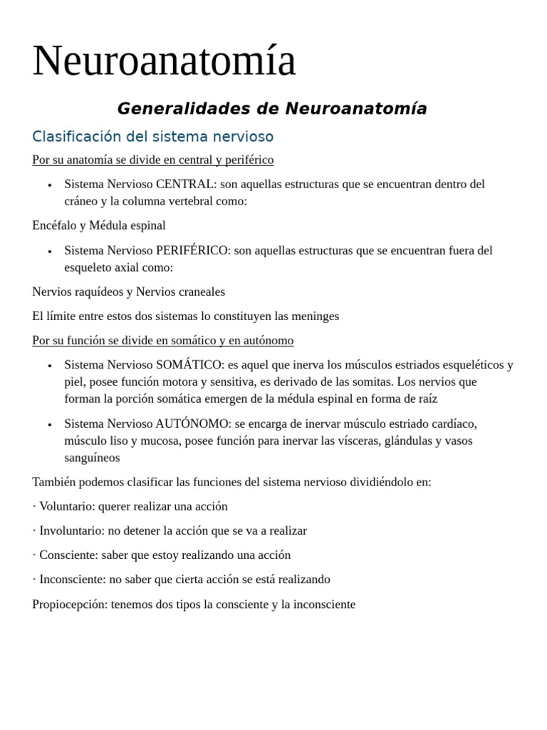 Clasificación y Estructura del Sistema Nervioso | PDF | Cerebelo ...