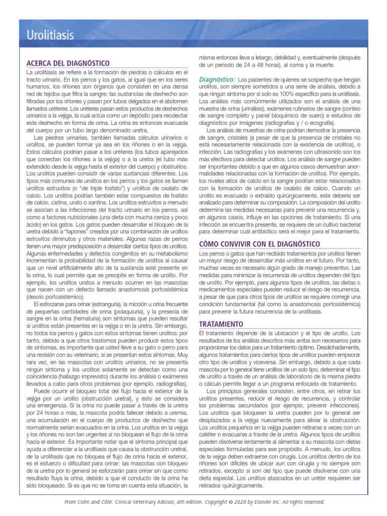 Urolitiasis | PDF | Especialidades Medicas | Medicina CLINICA