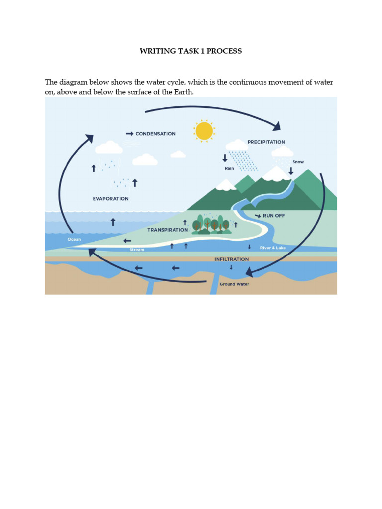 Water Cycle | PDF