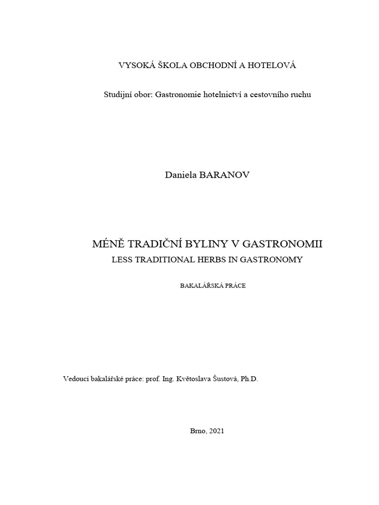 Baranov Daniela BP 2021 | PDF