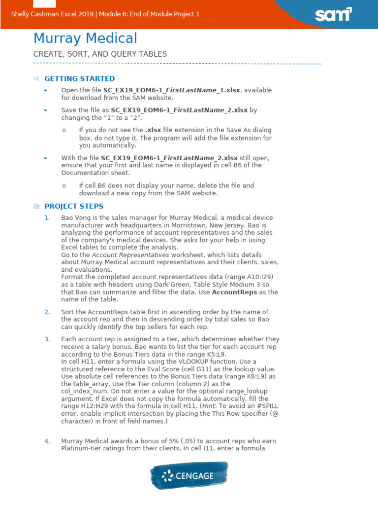 Instructions_SC_EX19_EOM6-1 | PDF | Microsoft Excel | Computing
