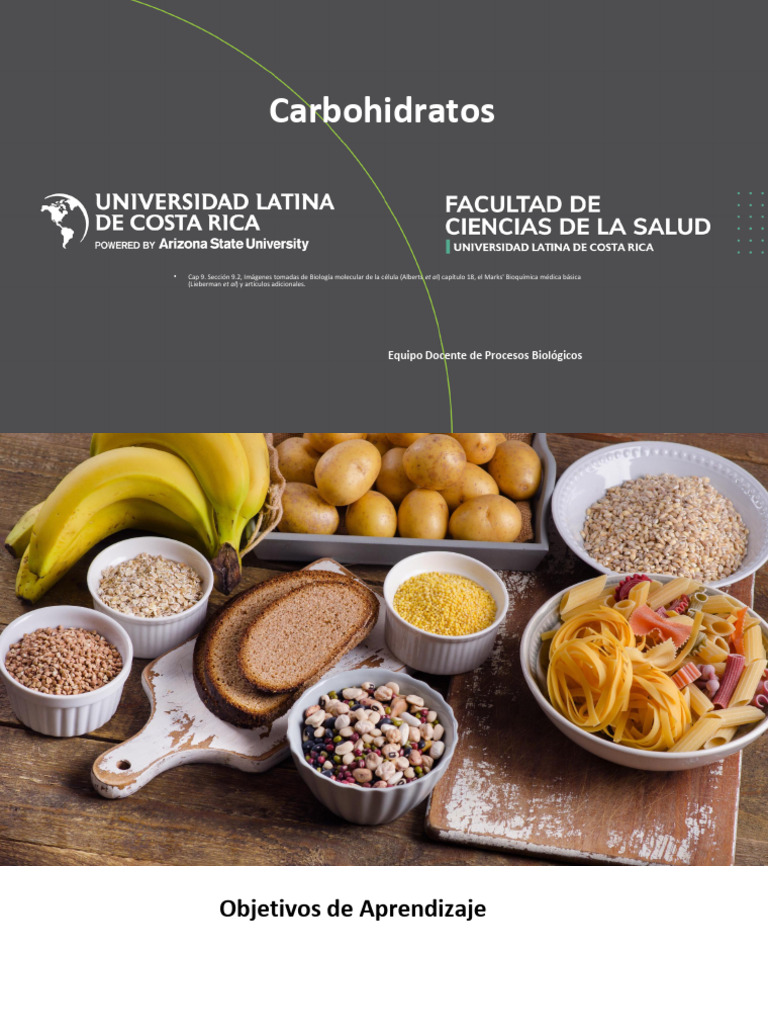 Carbohidratos 2C 2023 2 | PDF | Carbohidratos | Compuestos químicos