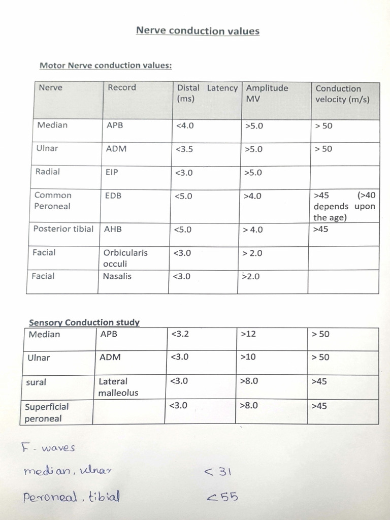 Nerve Conduction Studies | PDF