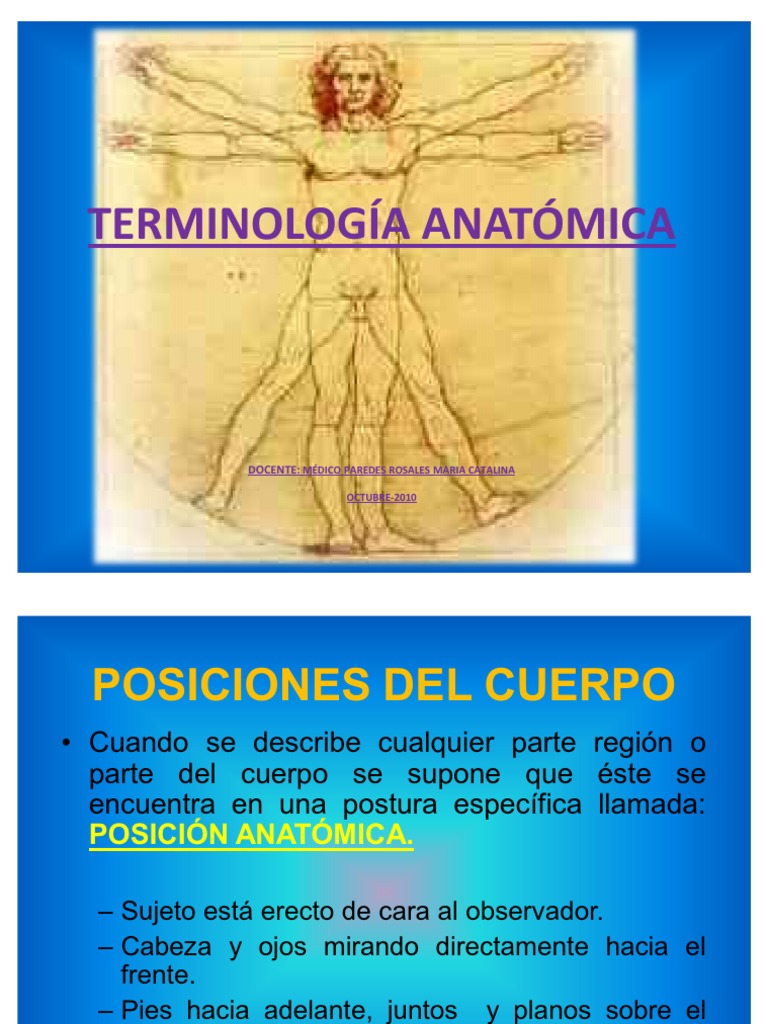 Terminología Anatómica Esencial | PDF | Términos anatómicos de ...
