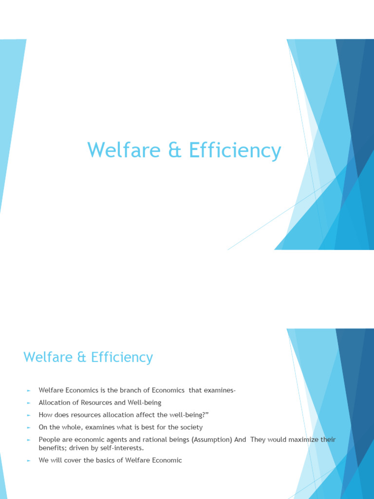 7. Welfare and efficiency.pdf | PDF | Economic Surplus | Welfare Economics