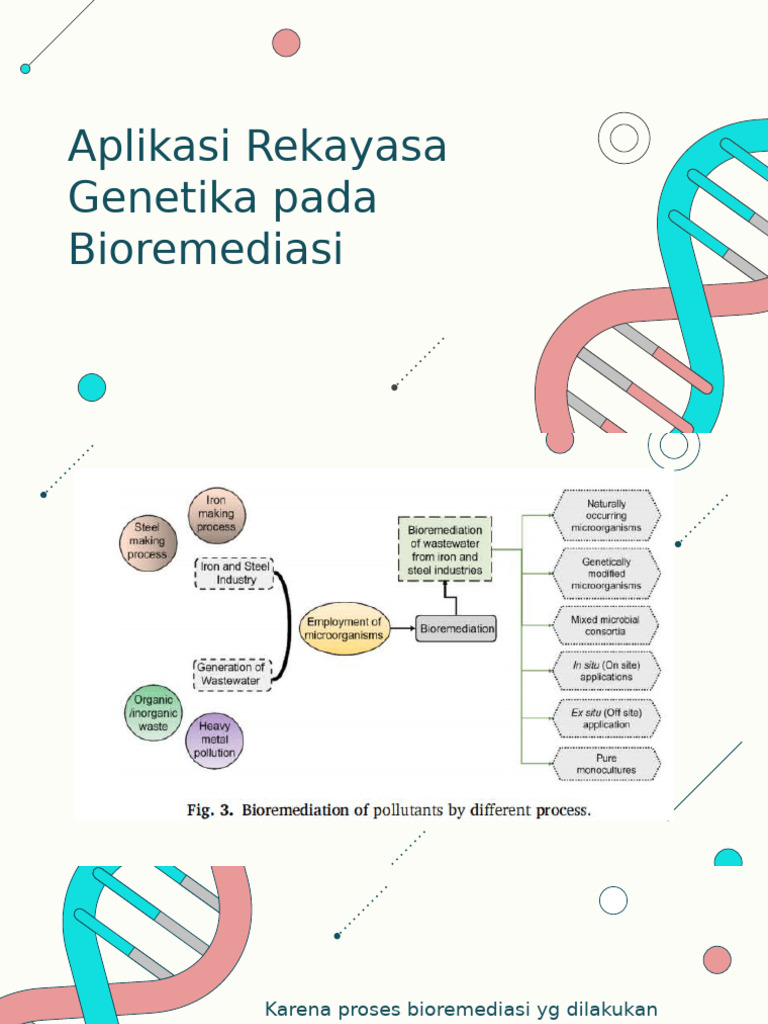 5. APlikasi rekayasa genetik pada bioremediasi | PDF