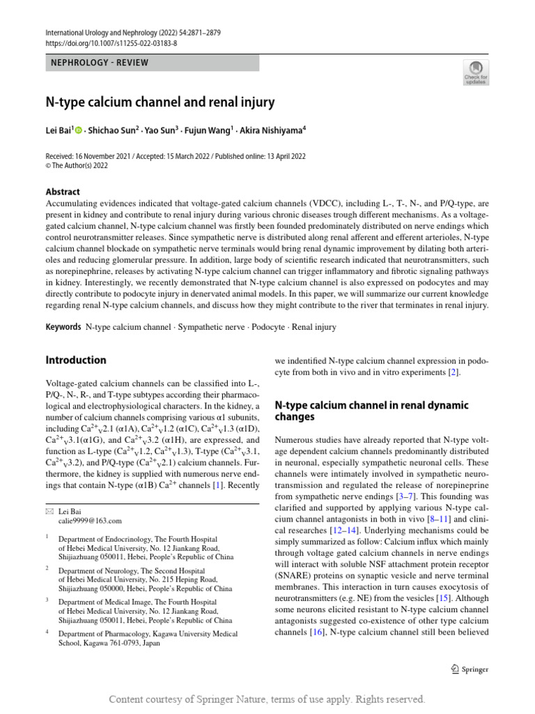 N-Type Calcium Channel and Renal Injury | PDF | Angiotensin | Kidney