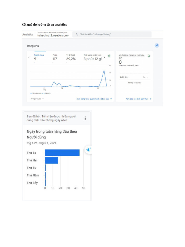 Kết quả đo lường từ gg analytics | PDF
