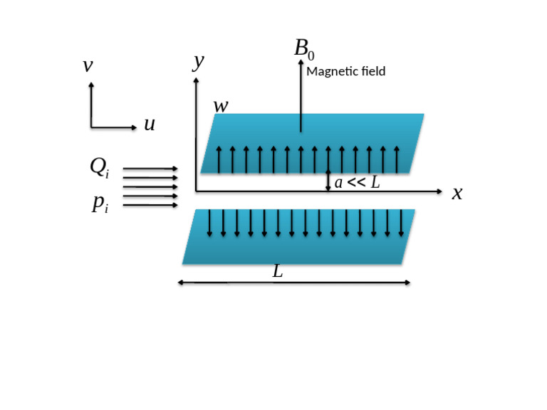 Magnetic Field Visualization Guide | PDF