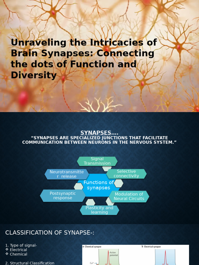Unraveling The Intricacies of Brain Synapses | PDF | Synapse | Inhibitory Postsynaptic Potential