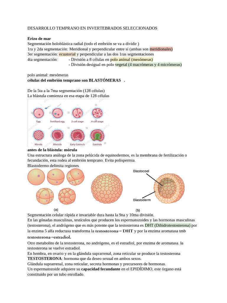 BIODES - Clase 9 | PDF | Reproducción | Procesos biologicos