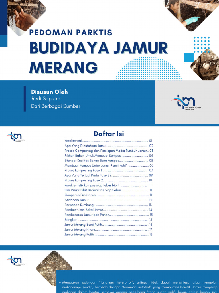 Pedoman Budidaya Jamur Merang PDF | PDF