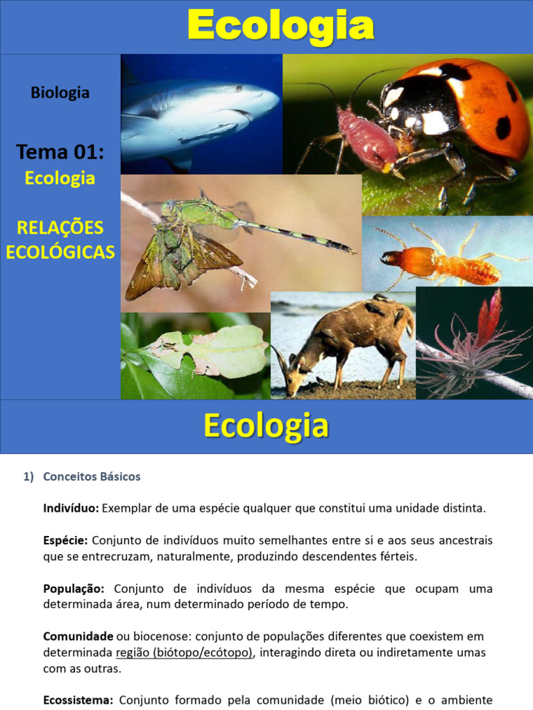 Relações Ecológicas e Populações | PDF | Ecologia | Ecossistema