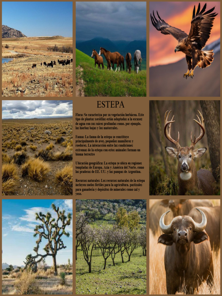 Bioma de Estepa: Flora, Fauna y Recursos | PDF