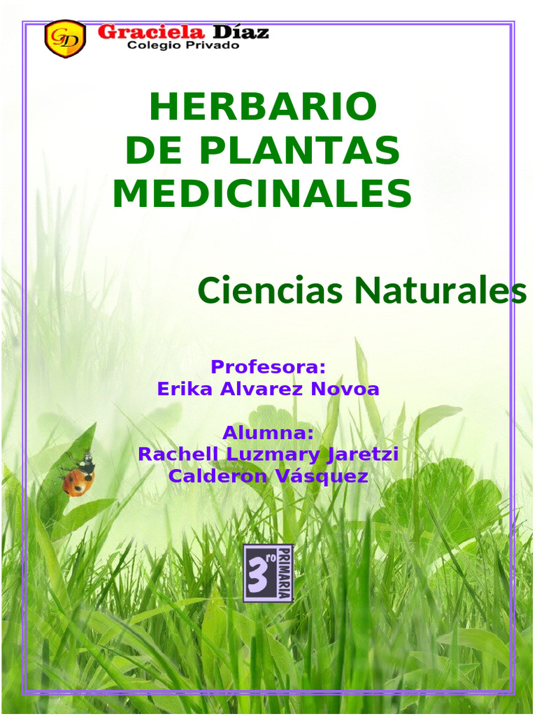 HERBARIO DE PLANTAS | PDF | Romero