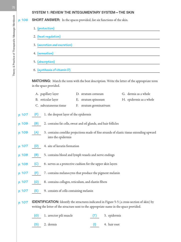 Workbook Answers Chapter 5 - Integumentary System | PDF | Skin | Integumentary System