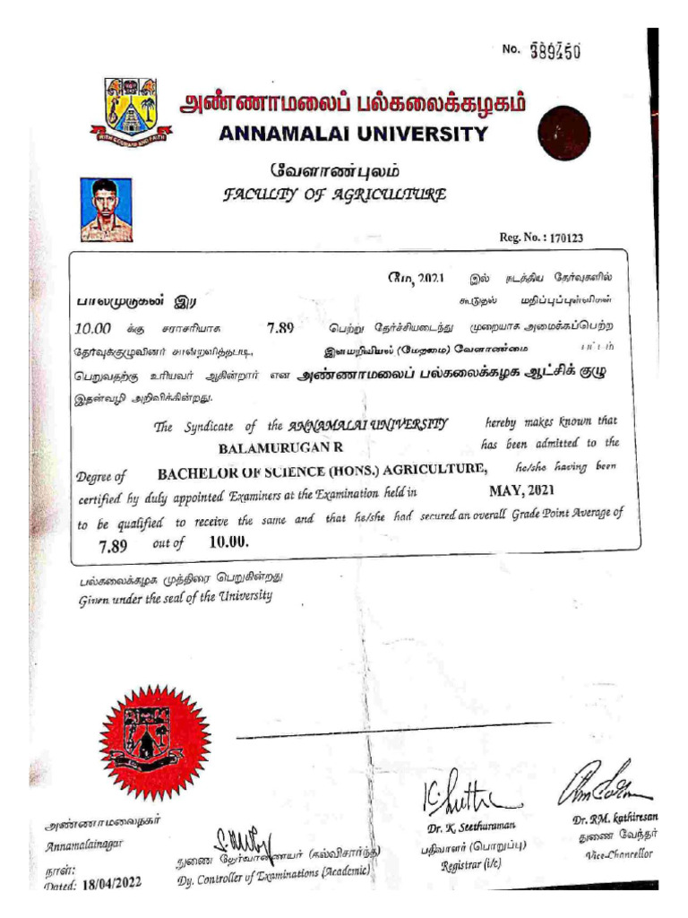 DEGREE CERT Compressed | PDF