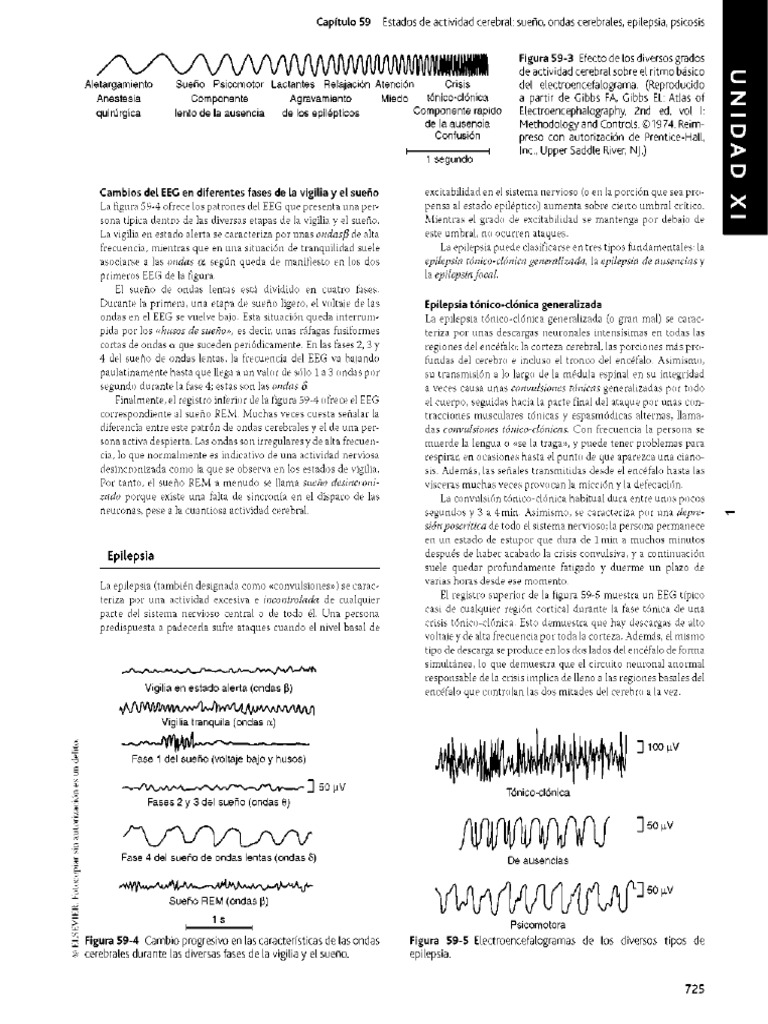 15 Tratado de Fisiologia Medica - A. Guyton | PDF | Epilepsia | Cerebro