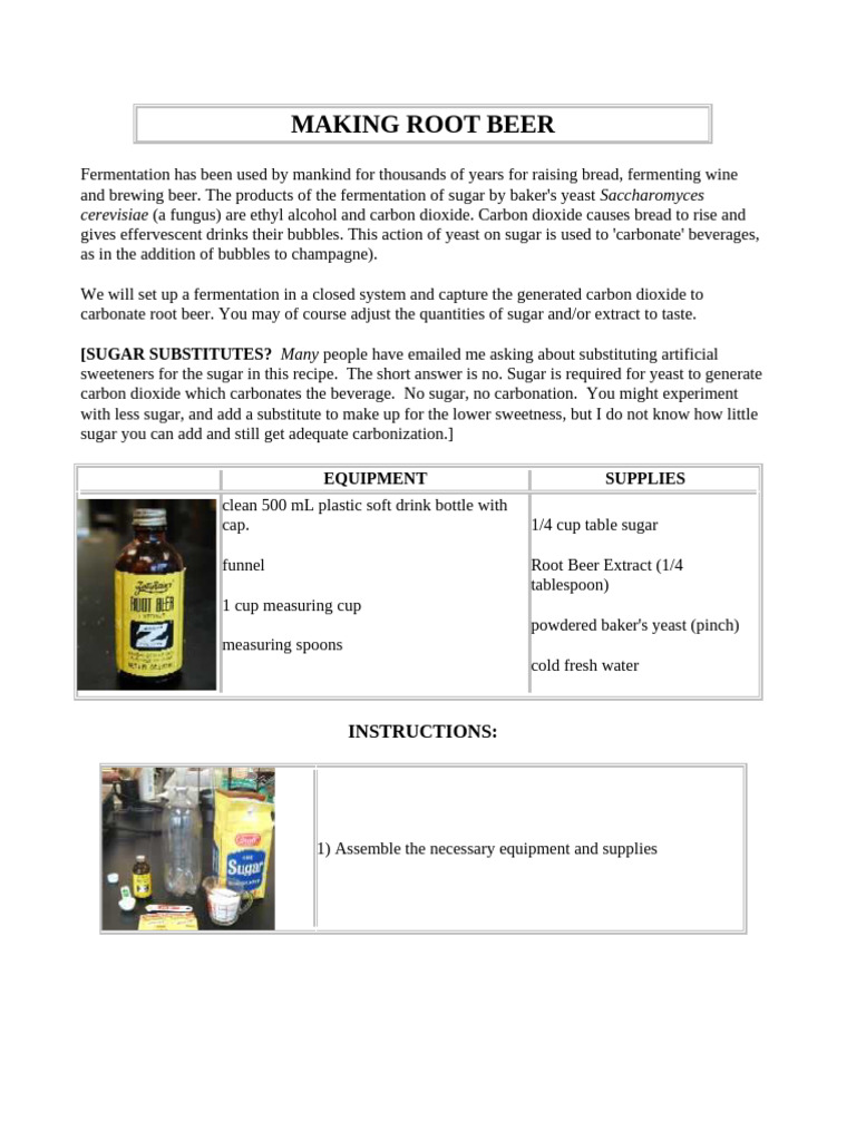 Making Root Beer | PDF | Yeast | Beer