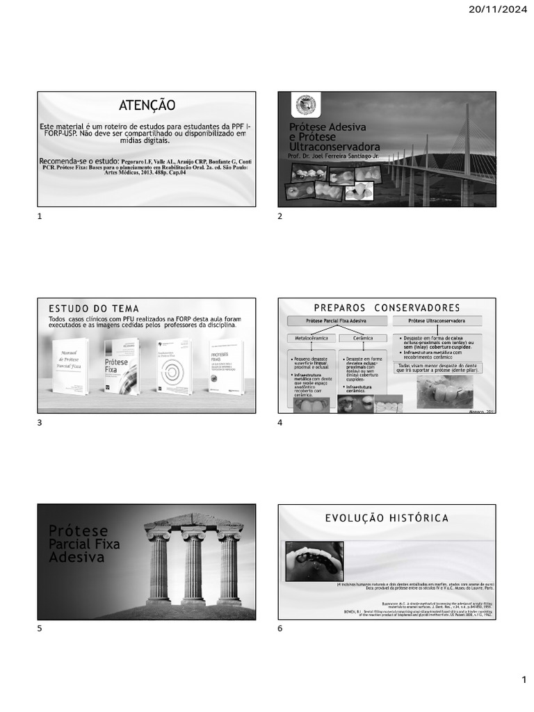 Slides da Aula PPFA 07.11.24 | PDF