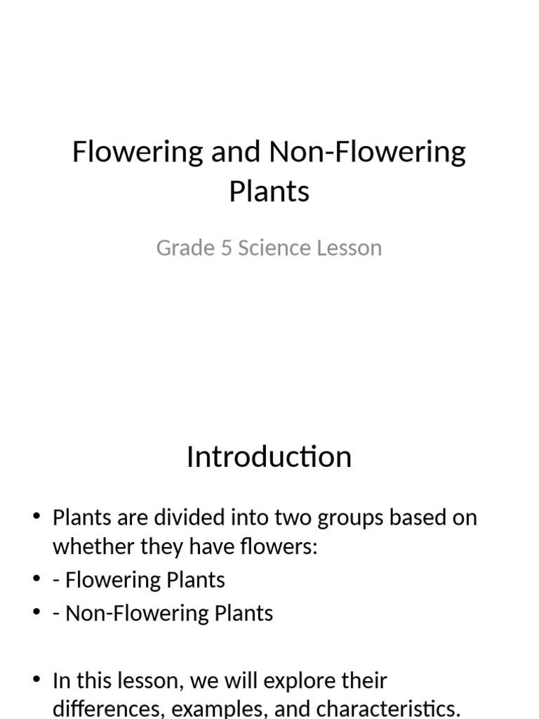 Flowering vs Non-Flowering Plants Guide | PDF
