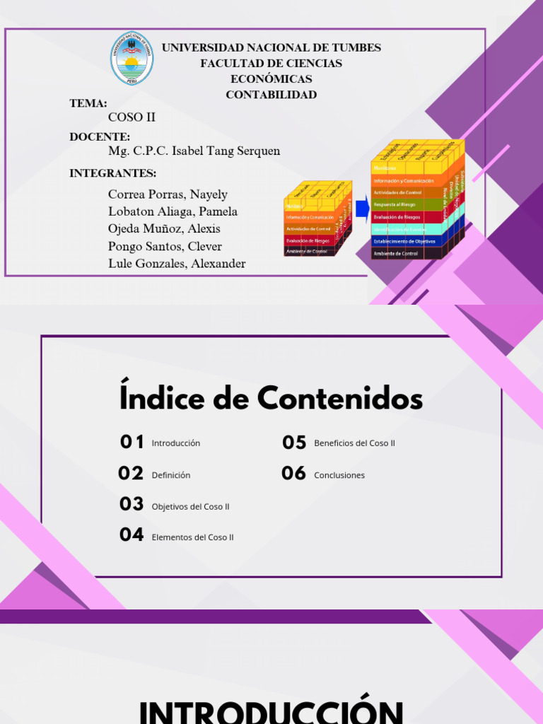Coso Ii | PDF | Riesgo | Información