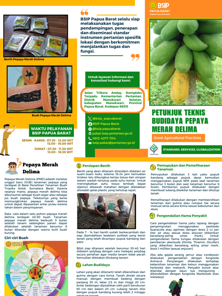 Panduan Budidaya Pepaya Merah Delima | PDF